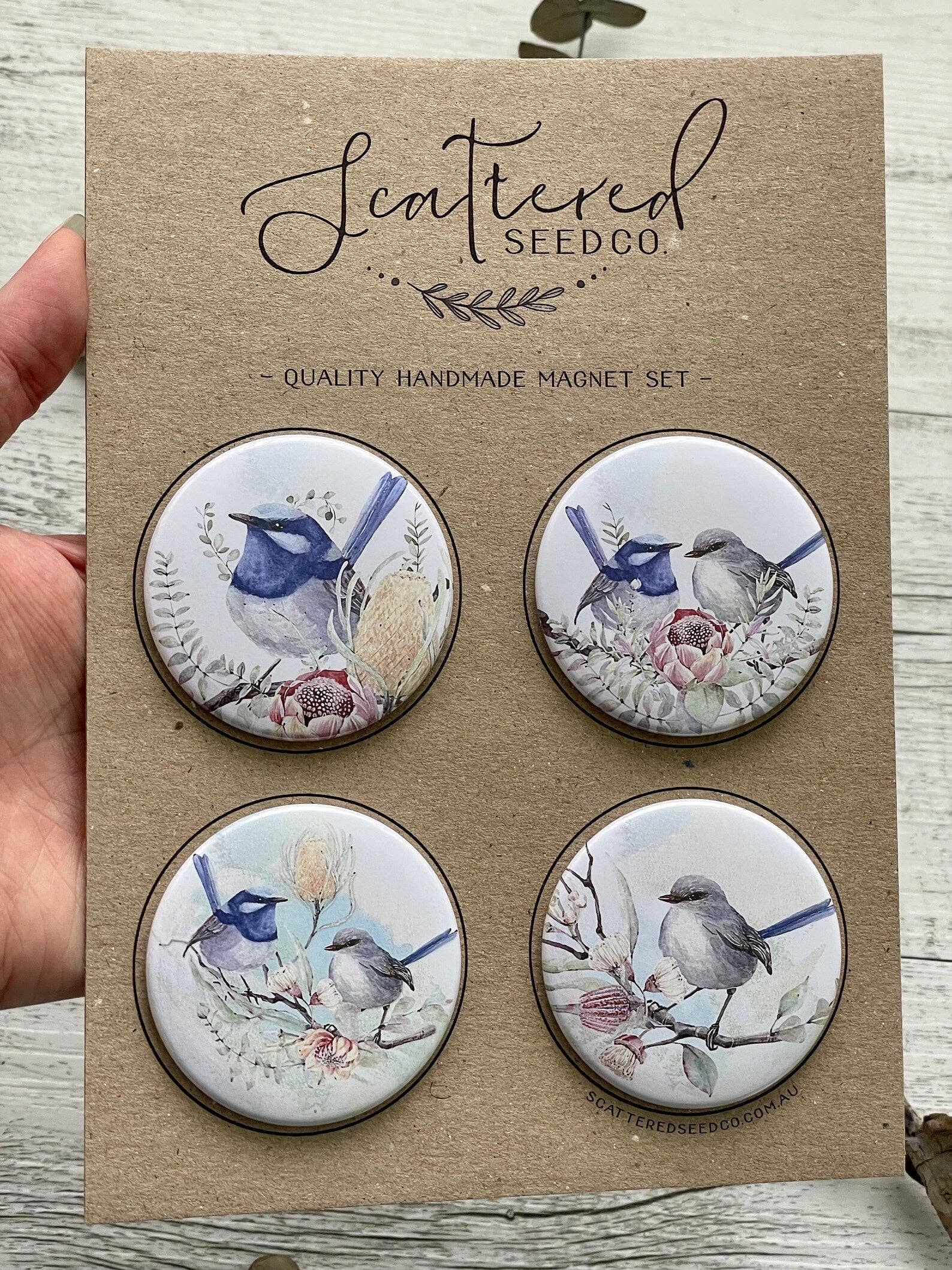 Superb Fairy Wren Large Magnets set of 4 – One Baby